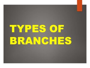 2 DIFFERENT TYPES OF BRANCHES - COMMERCEIETS
