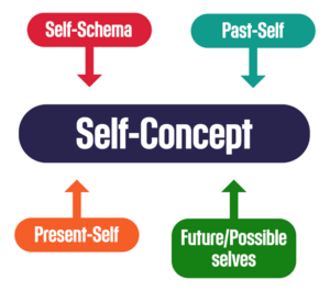 SELF CONCEPT THEORY IN CONSUMER BEHAVIOR - EXPLAINED WITH EXAMPLES 100%