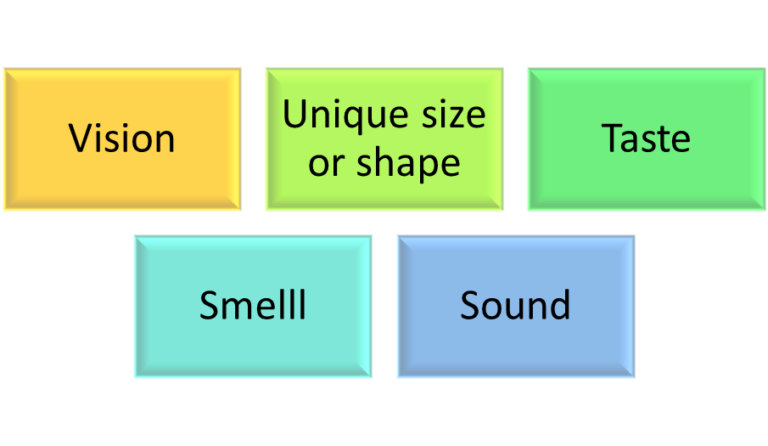5 STAGES OF PERCEPTION IN CONSUMER BEHAVIOR