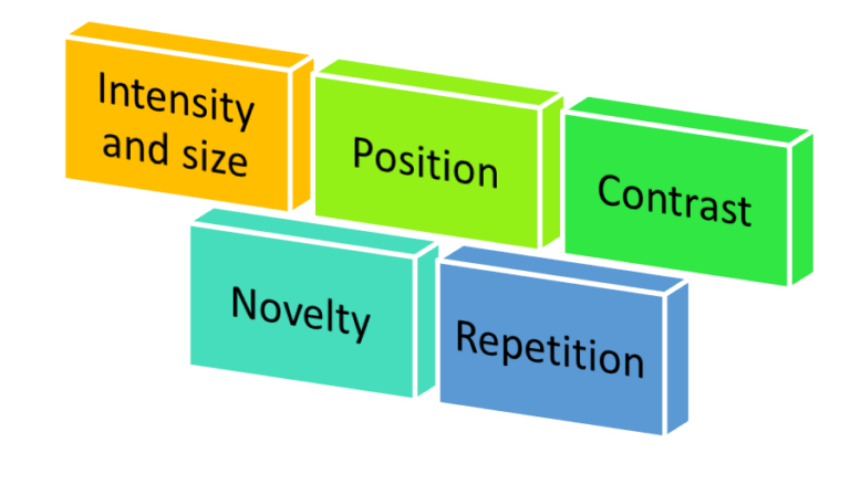 5 STAGES OF PERCEPTION IN CONSUMER BEHAVIOR